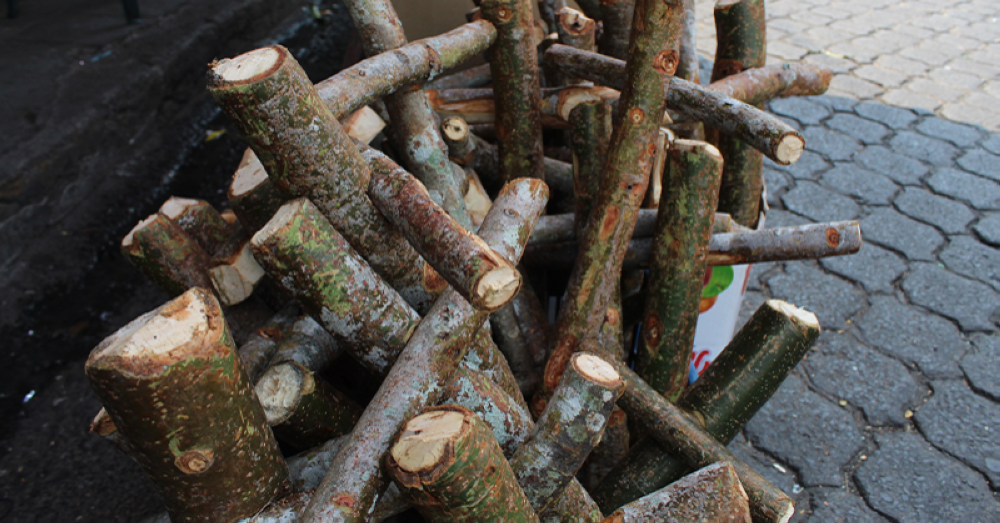 Salvadoreños celebran un colorido Día de la Cruz - Diario El Mundo