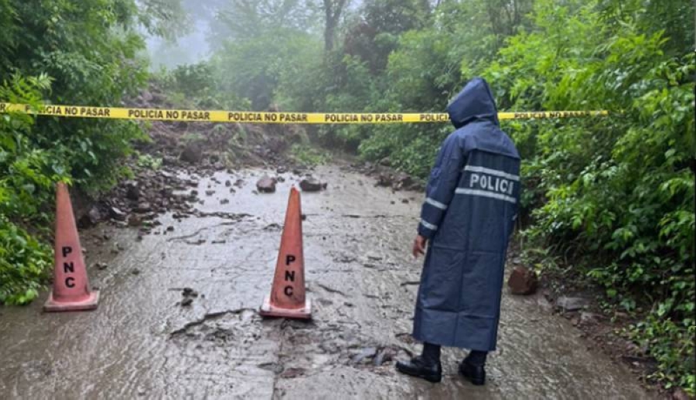 Lluvias del fin de semana dejaron árboles caídos y leves deslizamientos ...
