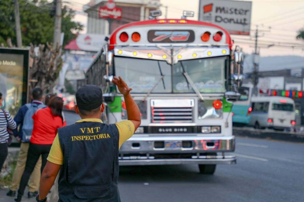 ¿Por cuáles causas le podrán decomisar un vehículo según la propuesta ...