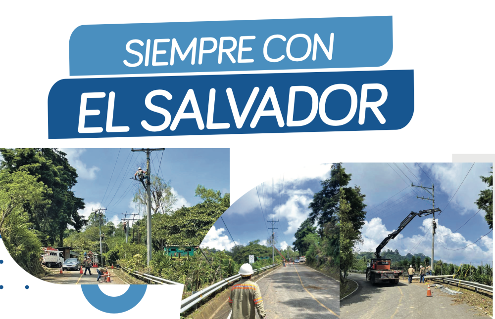 En DELSUR, nuestro compromiso e interés por mantener la continuidad del ...