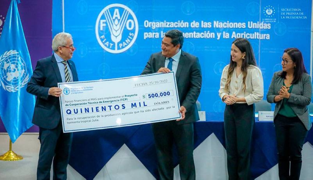 FAO dona $500 mil en apoyo a productores afectados por Julia - Diario ...