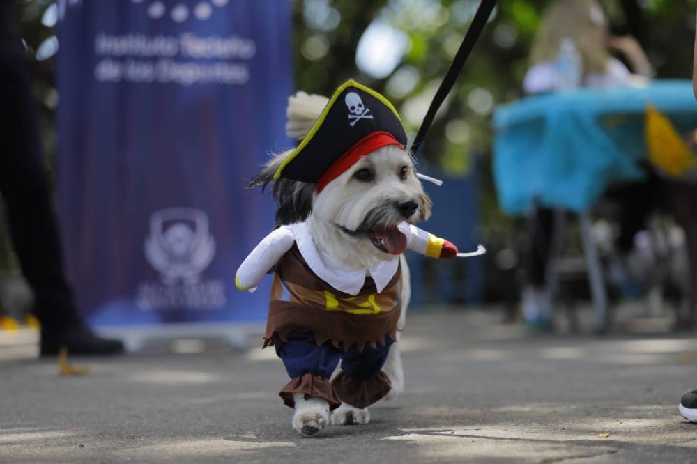 Celebran el “Guau Fest” en parque El Cafetalón - Diario El Mundo