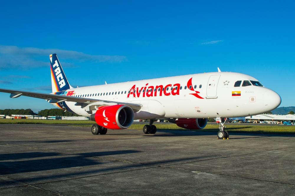 La guacamaya de TACA vuelve a volar en un avión de Avianca - Diario El Mundo