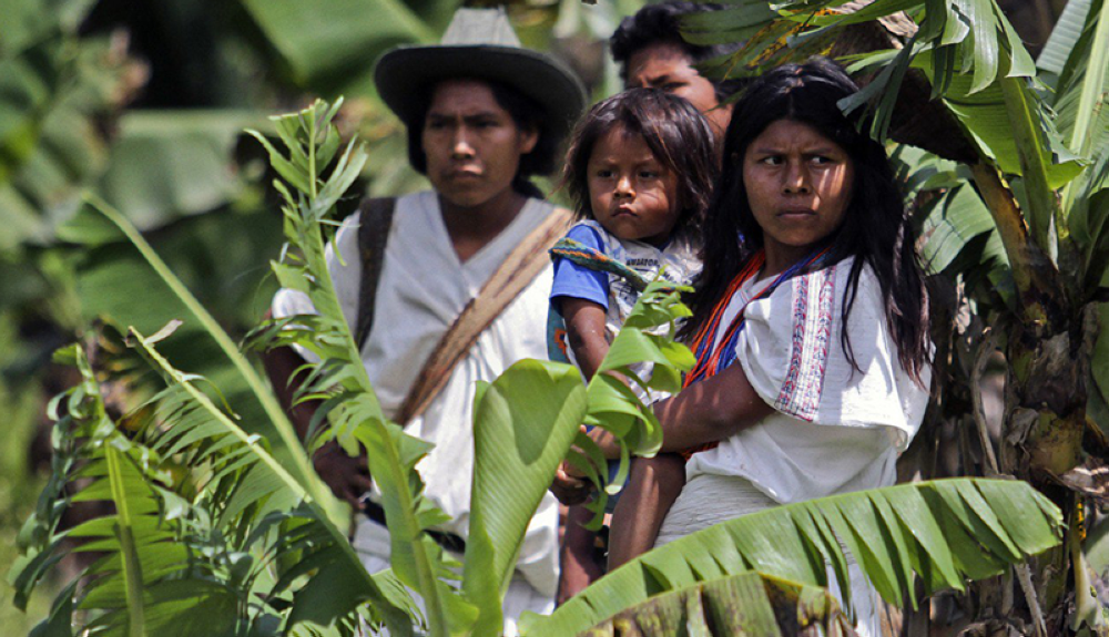 ¿Por que los indígenas de Colombia son declarados patrimonio de la ...