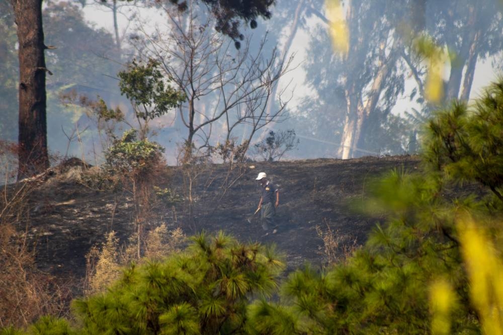 Al menos dos hectáreas de terreno se han quemado en el volcán de San ...