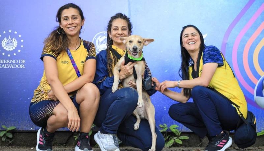 “Colombo”, el perrito que ha adoptado la delegación de Colombia en San ...
